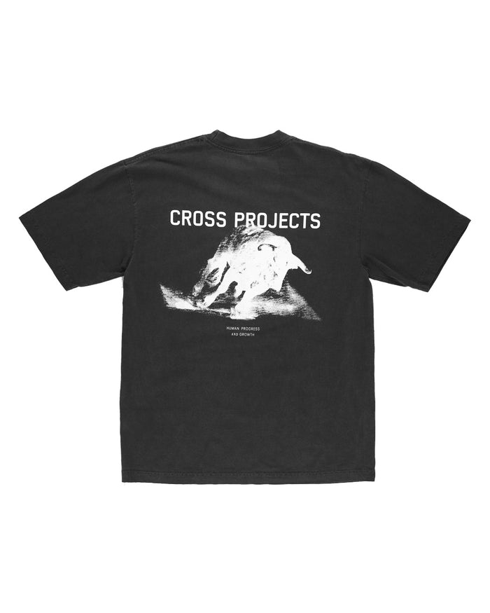 Cross Projects